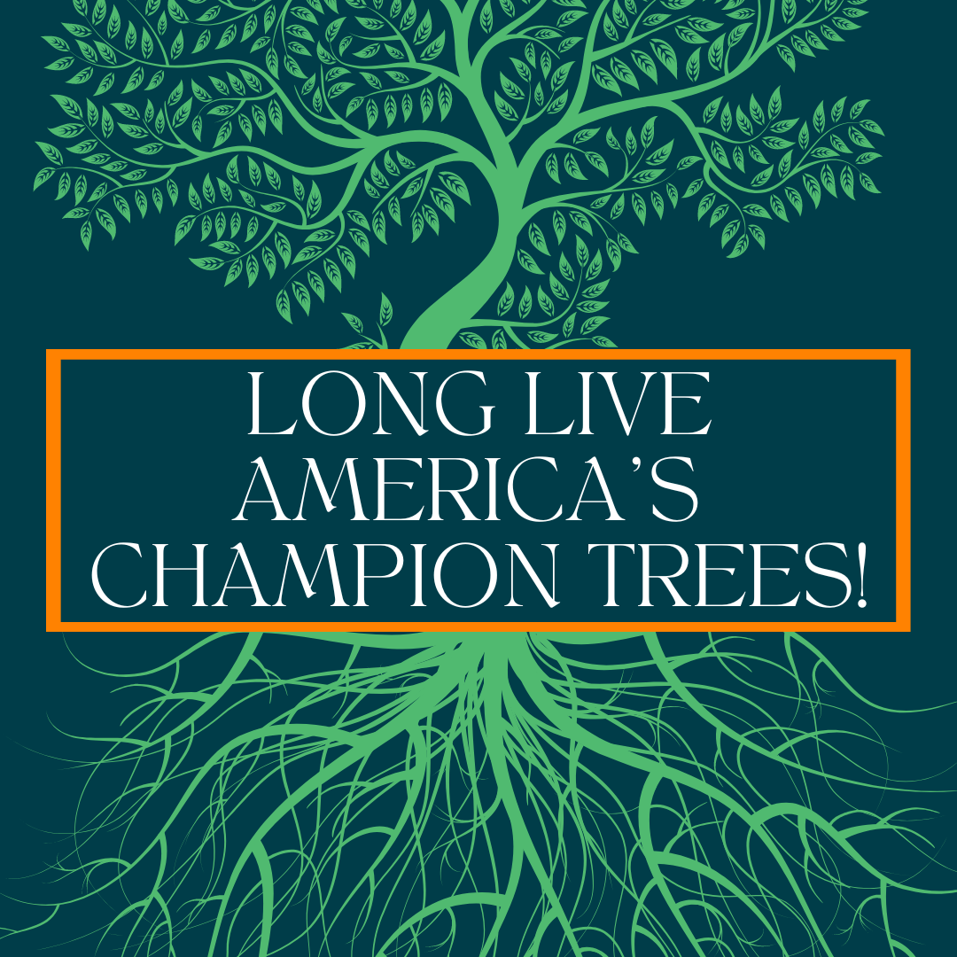 National Champion Tree Program | National Champion Tree Program