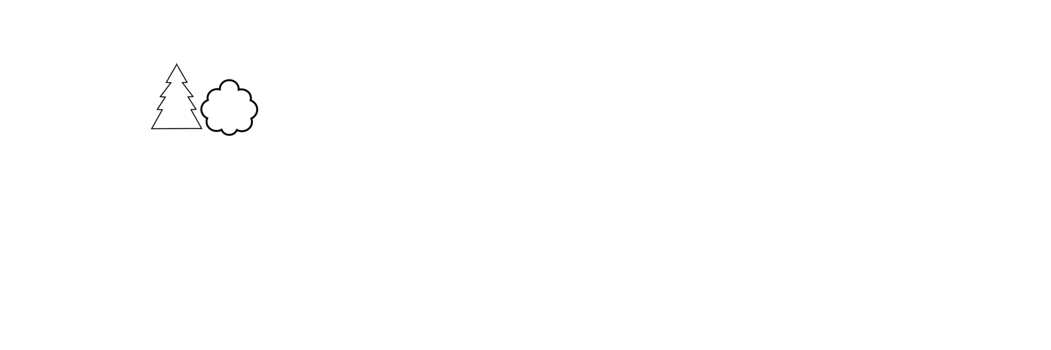 National Champion Tree Program | National Champion Tree Program