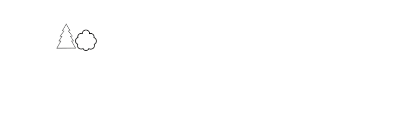 National Champion Tree Program | National Champion Tree Program