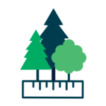 National Champion Tree Program | National Champion Tree Program